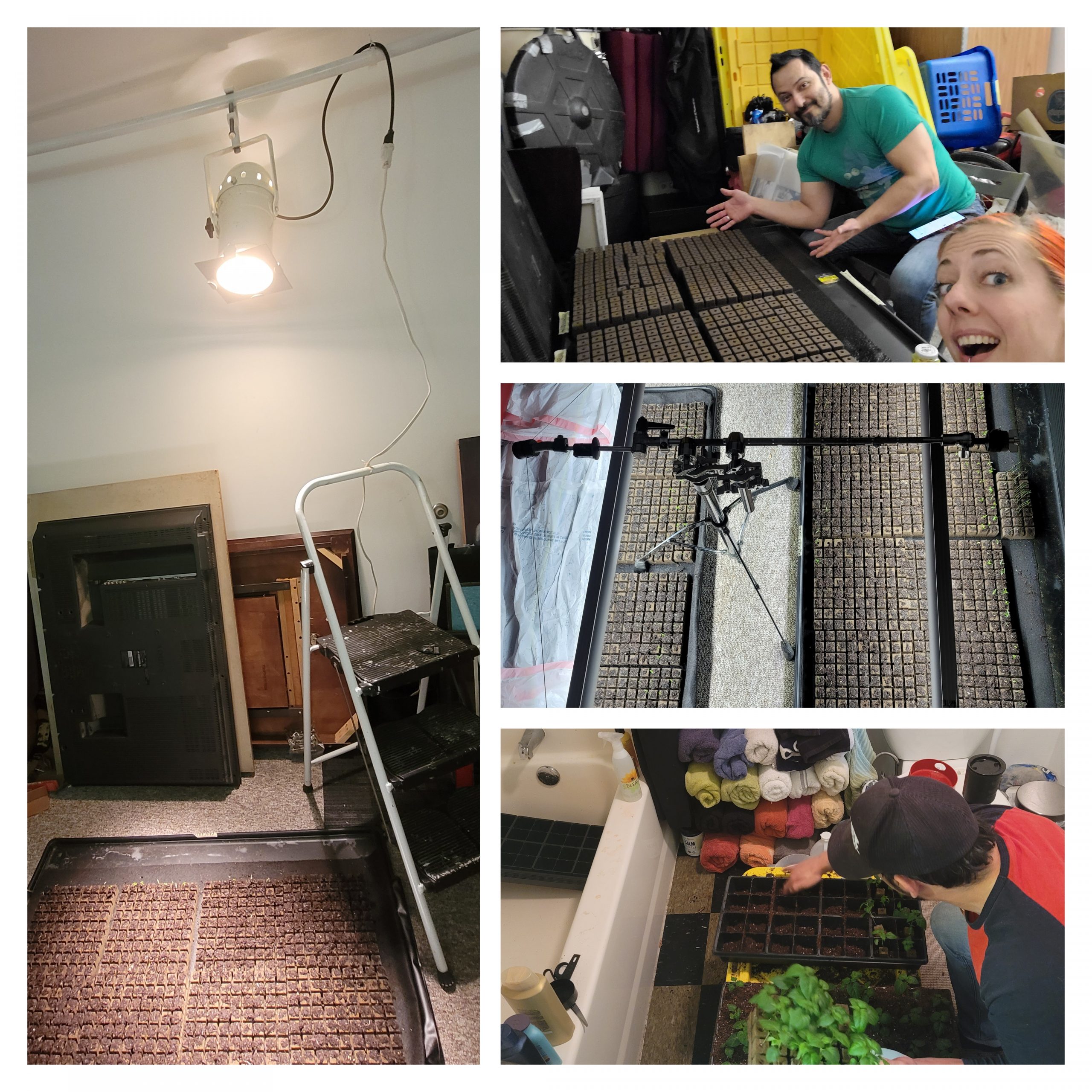 planting collage – The Sweatshop Pepper Farm